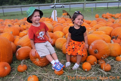 Fall Activities for Toddlers - The Educators' Spin On It