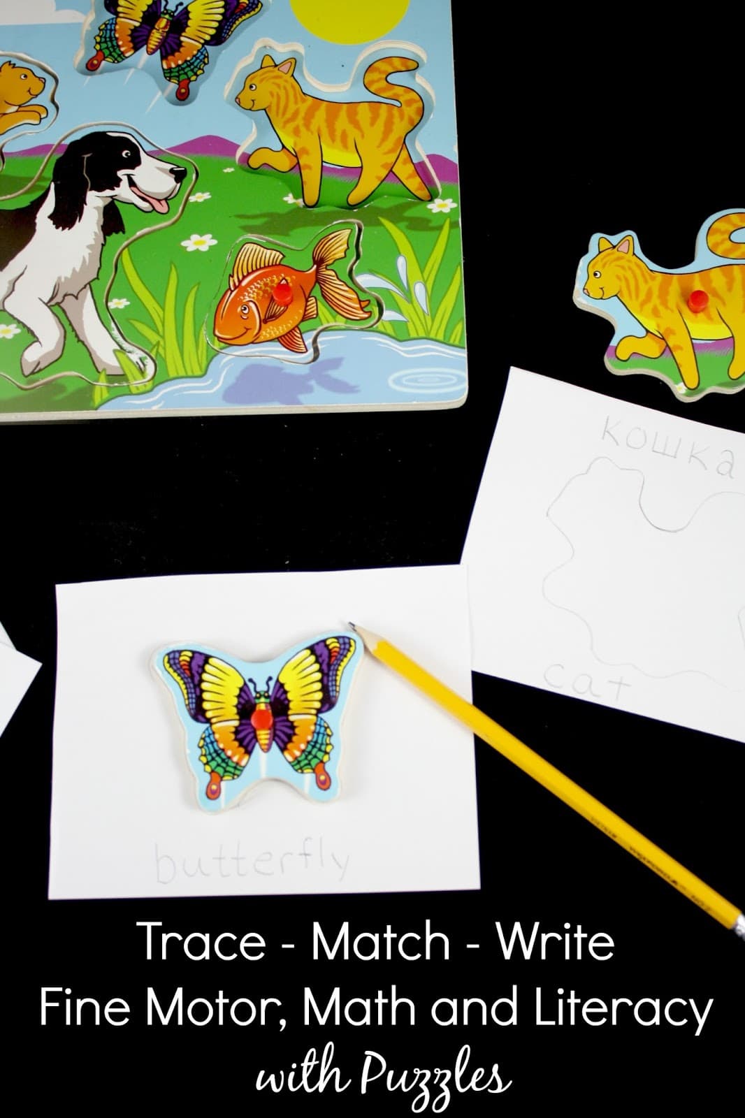 Shape Activities for Preschool and Kindergarten - The Educators' Spin On It