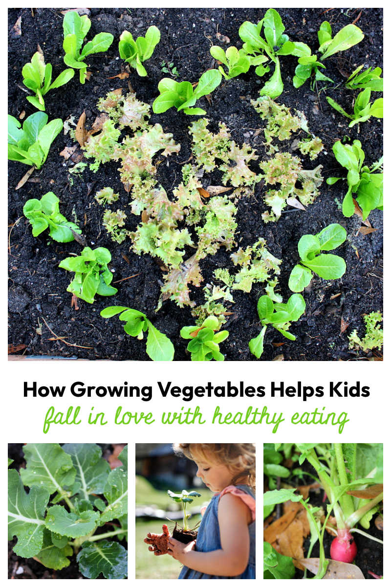 Learning to LOVE Vegetables - The Educators' Spin On It