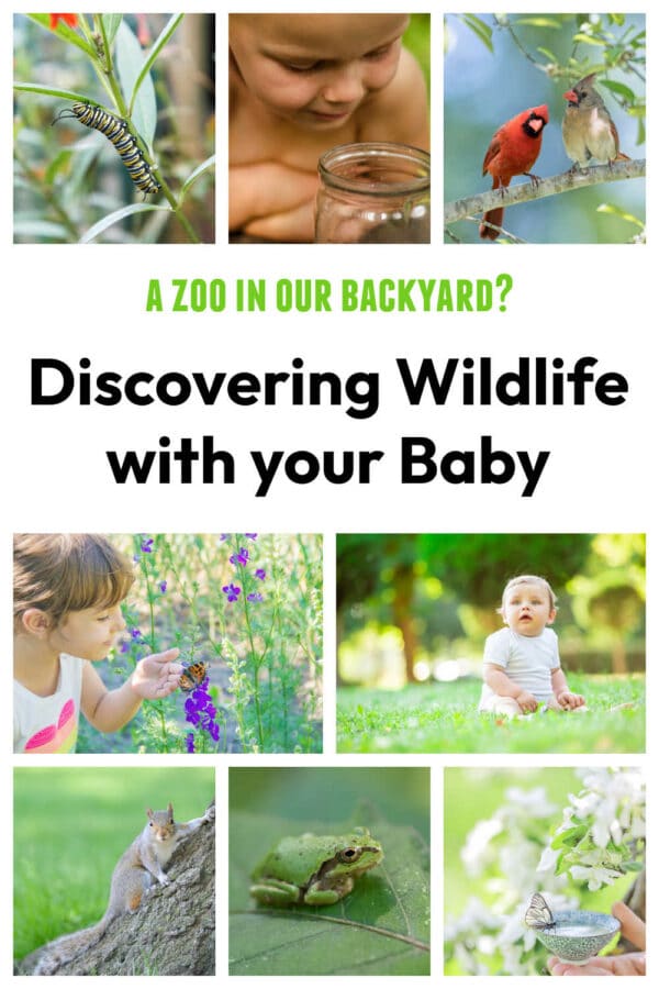 A Zoo in My Backyard? Discovering Wildlife with My Baby - The Educators ...