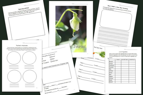 Growing Peas with Kids in the Garden - The Educators' Spin On It