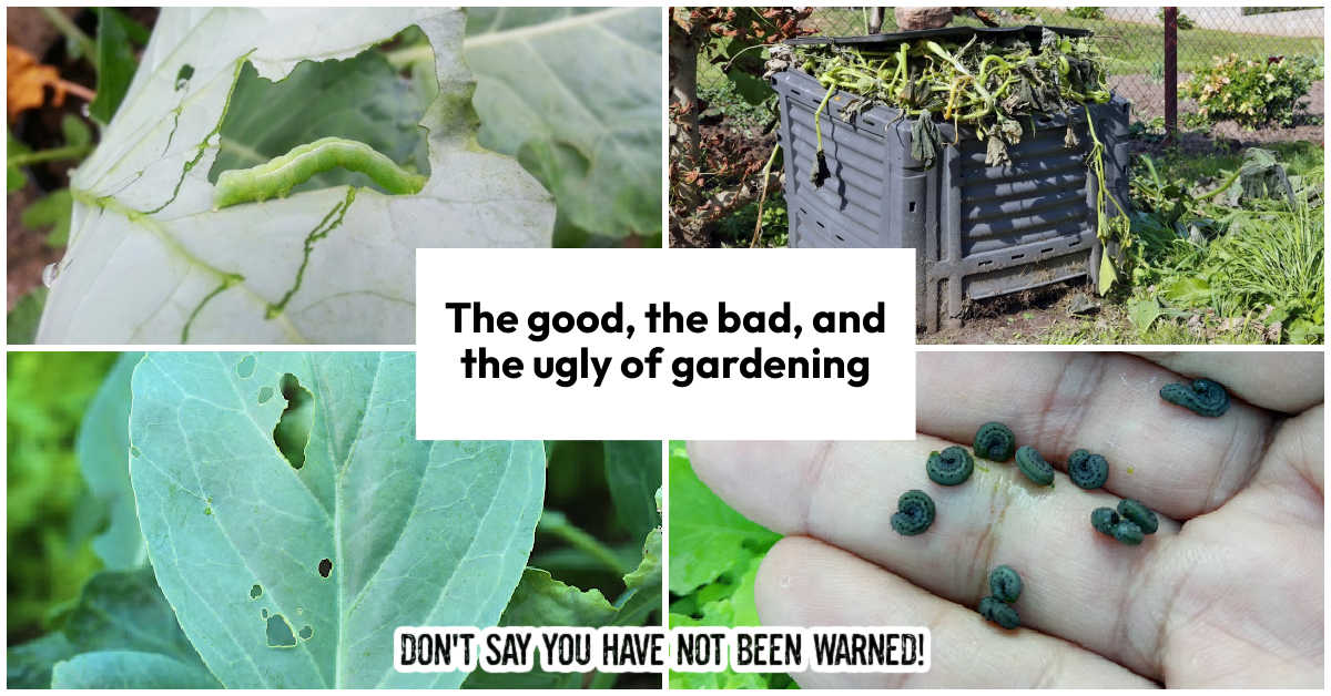 The good, the bad, and the ugly of gardening – please don’t say you ...