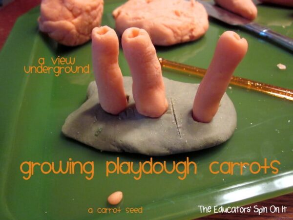 The Carrot Seed Activities - The Educators' Spin On It