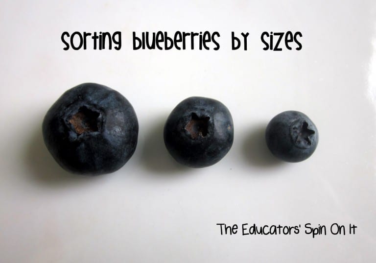 Blueberry Activities, Books, And Recipes - The Educators' Spin On It