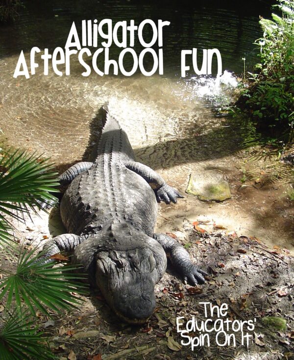 Alligator Crafts and Activities for After School Fun - The Educators ...