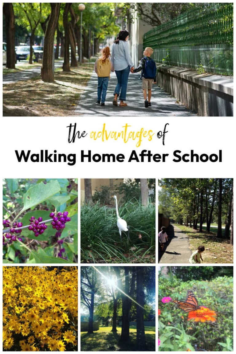 The Advantages of Walking Home After School Together - The Educators ...