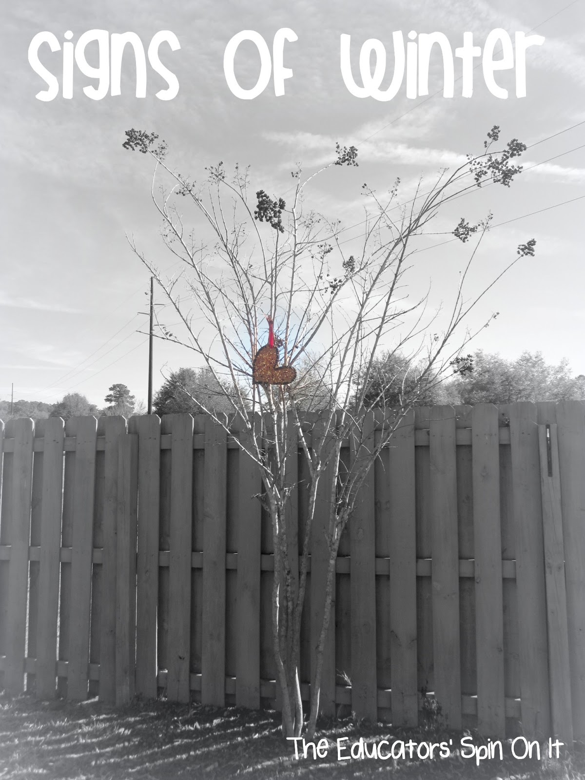 Looking for Signs of Winter with Kids - The Educators' Spin On It