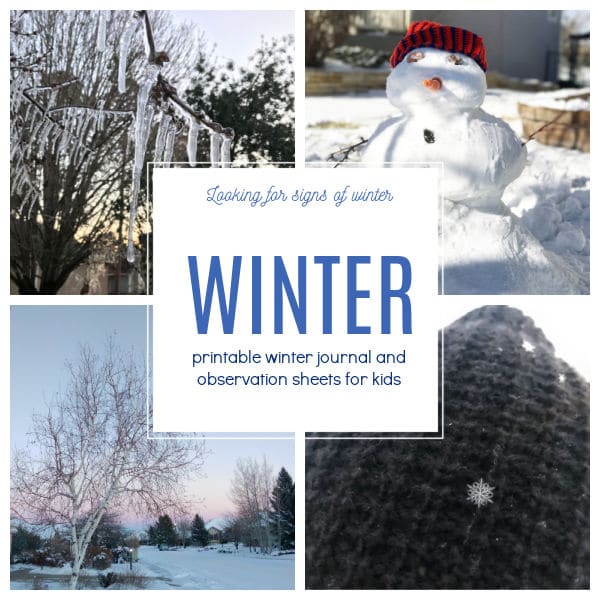 Looking for Signs of Winter with Kids - The Educators' Spin On It