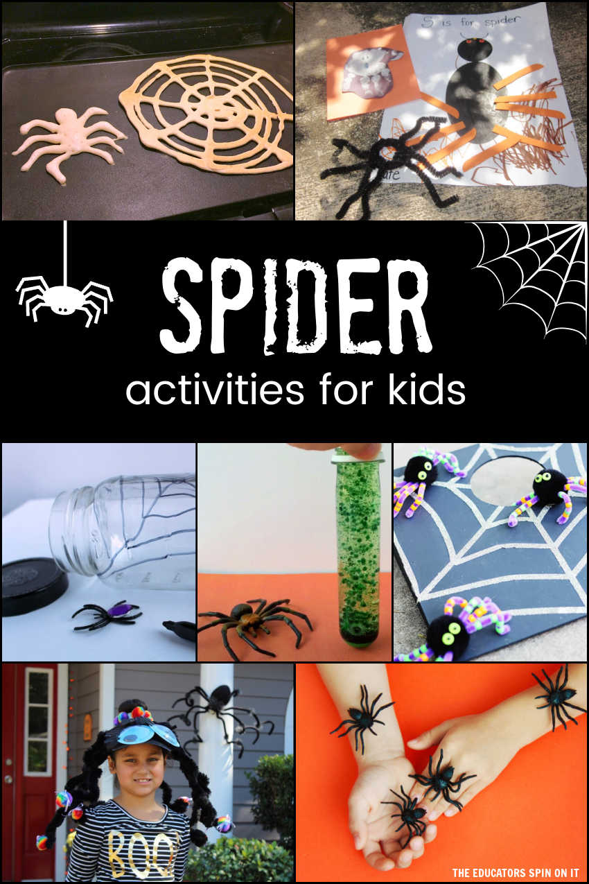 Spider Activities for School Ages - The Educators' Spin On It