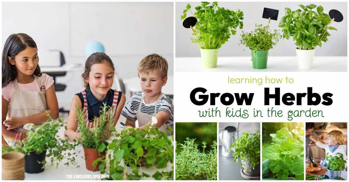 The Best Herbs to Grow with Children - The Educators' Spin On It