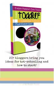 Every Parent Can Teach their Toddler EBook
