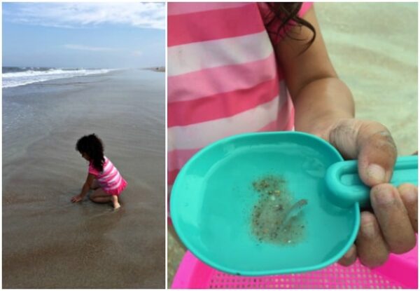 Learn and Play: Tot School At the Beach