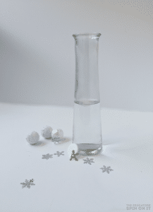 Snowflake Lab: A Winter Science Challenge for Kids