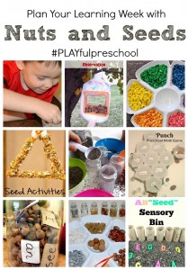 50+ Fun and Educational Seed Activities for Kids - The Educators' Spin ...