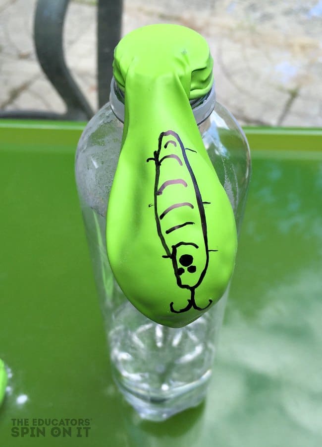 Caterpillar To Butterfly Science Activity With Balloons