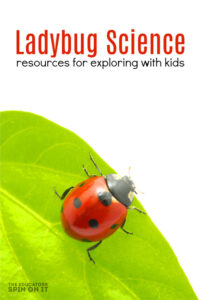 Ladybug Science with Kids - The Educators' Spin On It