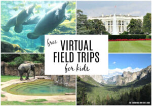 Washington, D.C. Virtual Field Trip for Kids - The Educators' Spin On It