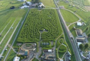 Fall Virtual Field Trips for Kids - The Educators' Spin On It