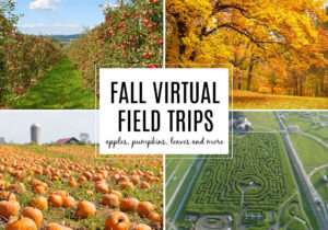 30+ Virtual Field Trips for Kids - The Educators' Spin On It