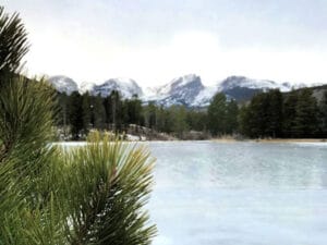 Winter Virtual Field Trips for Kids - The Educators' Spin On It