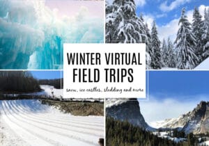 Winter Virtual Field Trips for Kids - The Educators' Spin On It