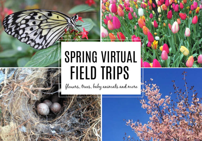 60+ Fun and Educational Spring Activities for Kids to Celebrate the ...