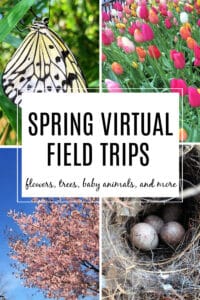 Spring Virtual Field Trips for Kids - The Educators' Spin On It