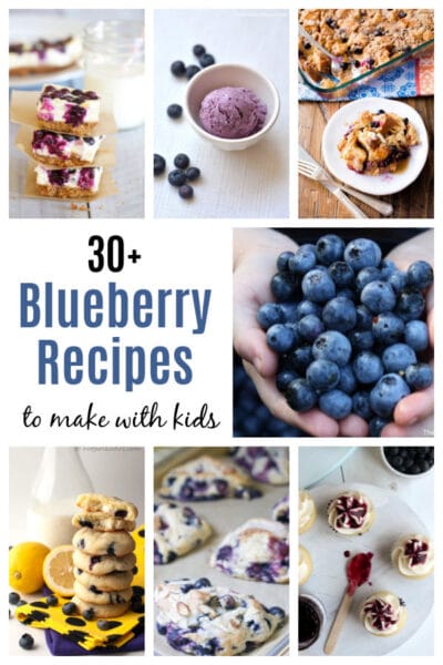 Blueberry Activities, Books, And Recipes - The Educators' Spin On It
