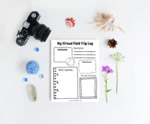 Summer Virtual Field Trips for Kids - The Educators' Spin On It