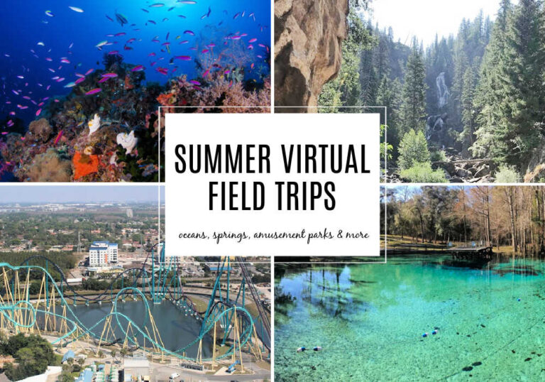 Summer Virtual Field Trips for Kids - The Educators' Spin On It