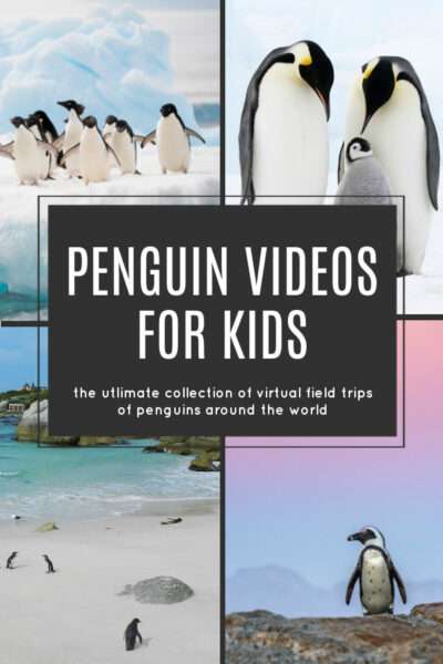 Penguin Virtual Field Trips for Kids - The Educators' Spin On It