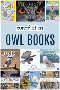 The Best Owl Books for Kids - The Educators' Spin On It