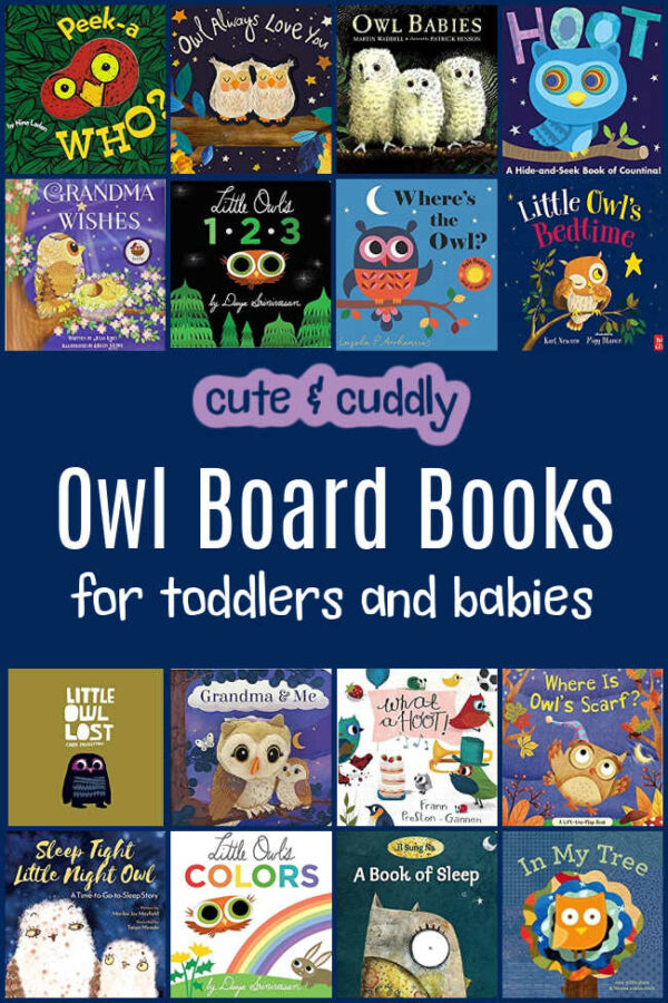 The Best Owl Books for Kids - The Educators' Spin On It