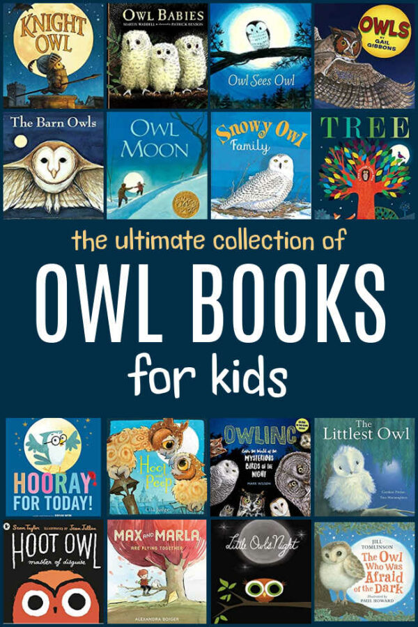 The Best Owl Books for Kids - The Educators' Spin On It