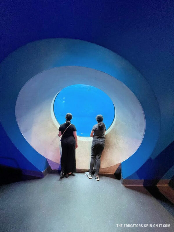 Frost Museum of Science - The Educators' Spin On It