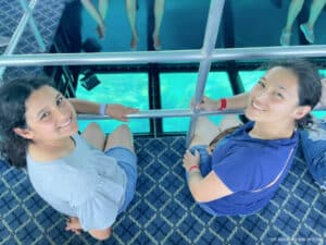 Glass Bottom Boat Tour in Florida Keys - The Educators' Spin On It