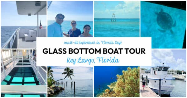 Glass Bottom Boat Tour in Florida Keys - The Educators' Spin On It