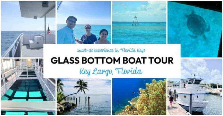 Glass Bottom Boat Tour in Florida Keys - The Educators' Spin On It