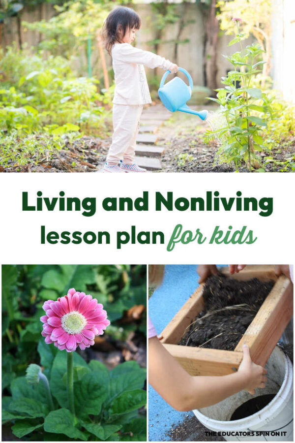 Living and Nonliving Garden Walk with Kids