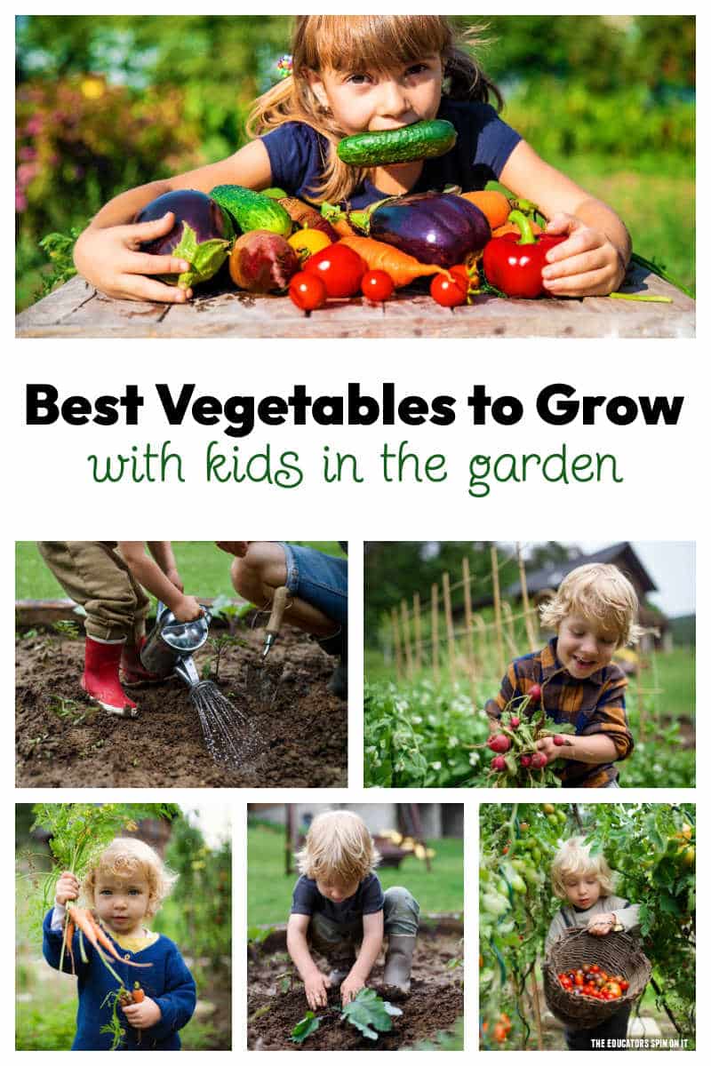 BEST Vegetables to Grow with Kids in the Garden