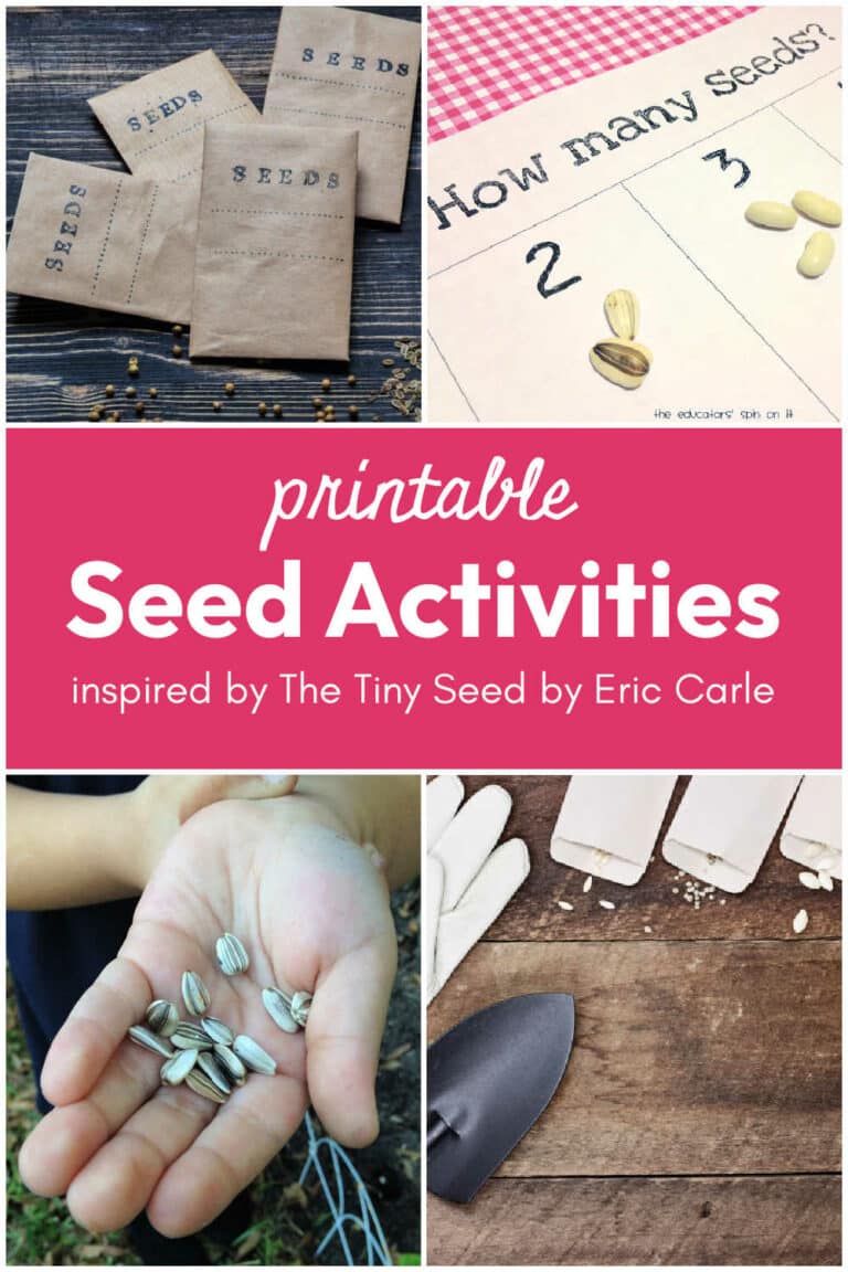 Printable Seed Activities Inspired by The Tiny Seed by Eric Carle - The ...