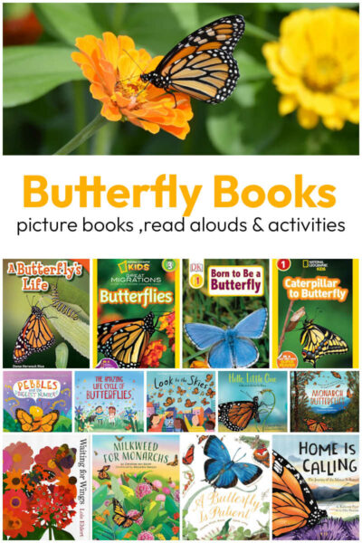 Butterfly Books for Kids