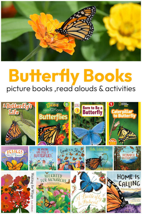 Butterfly Books for Kids