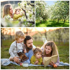 60+ Fun and Educational Spring Activities for Kids to Celebrate the ...