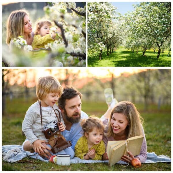 60+ Fun and Educational Spring Activities for Kids to Celebrate the ...