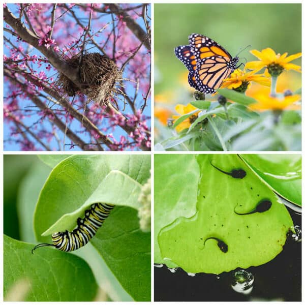 60+ Fun and Educational Spring Activities for Kids to Celebrate the ...