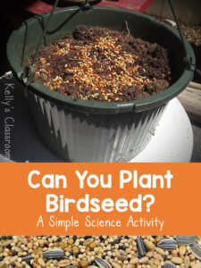 50+ Fun and Educational Seed Activities for Kids - The Educators' Spin ...