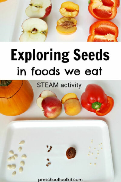 50+ Fun and Educational Seed Activities for Kids - The Educators' Spin ...