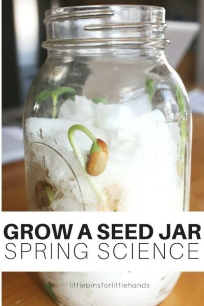 50+ Fun and Educational Seed Activities for Kids - The Educators' Spin ...