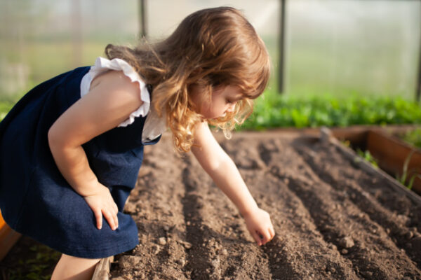 50+ Fun and Educational Seed Activities for Kids - The Educators' Spin ...